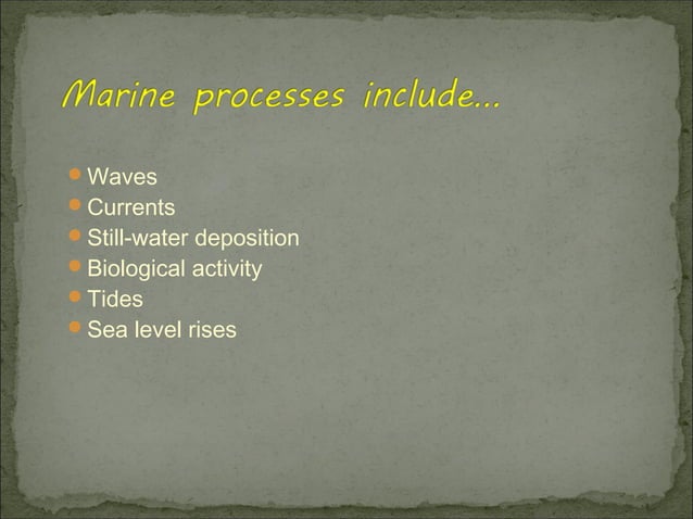 Marine and Coastal Processes | PPT | Geography | Science