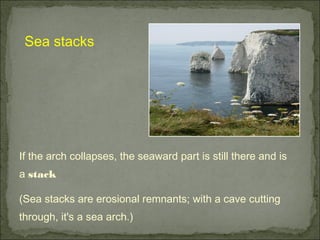 Marine and Coastal Processes | PPT