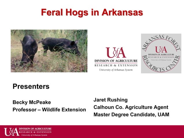 Mc peake rushing feral hogs afa | PPTX | Reptiles | Pets
