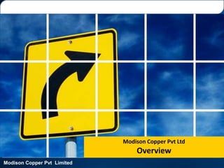 Modison Copper Private Limited | PDF