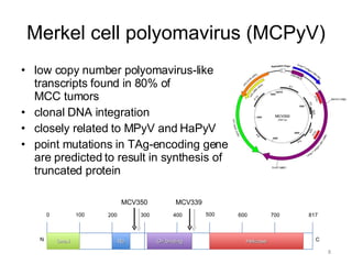 Mcpyv Presentation | PPT