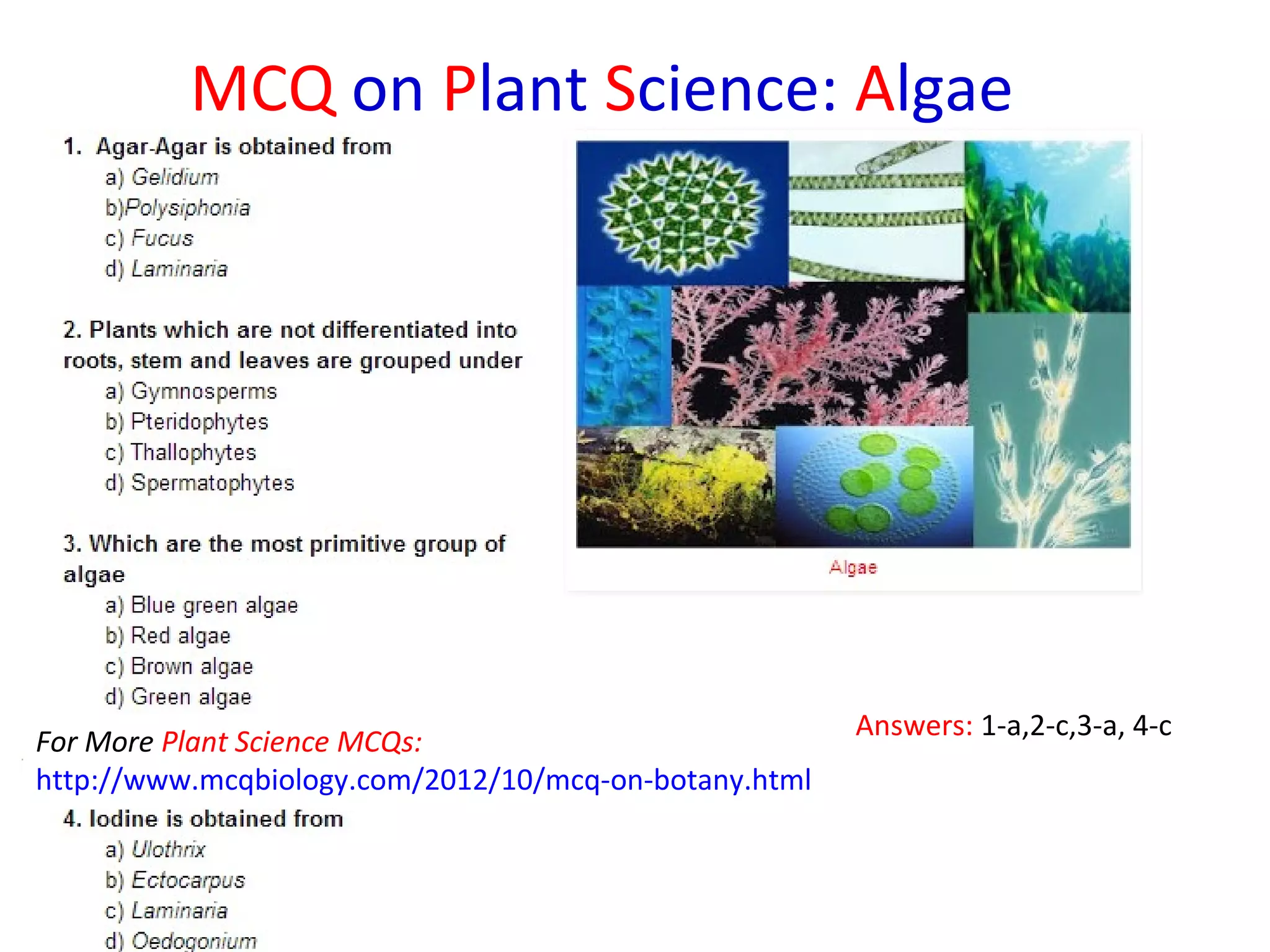 Biology MCQs (Multiple Choice Questions) | PPT