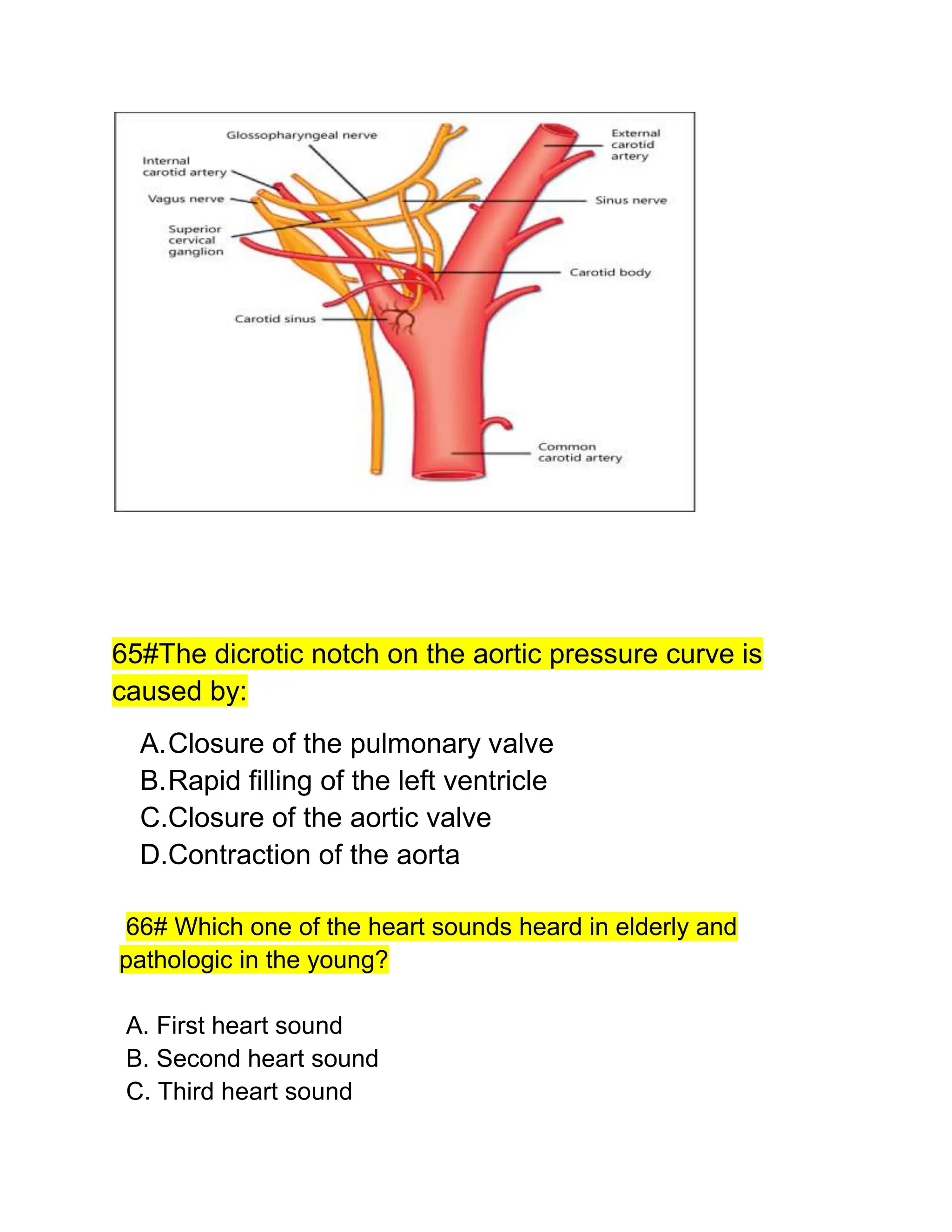 MCQ CVS Physiology | PDF