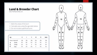 MCQ in burns with pictures | PPTX
