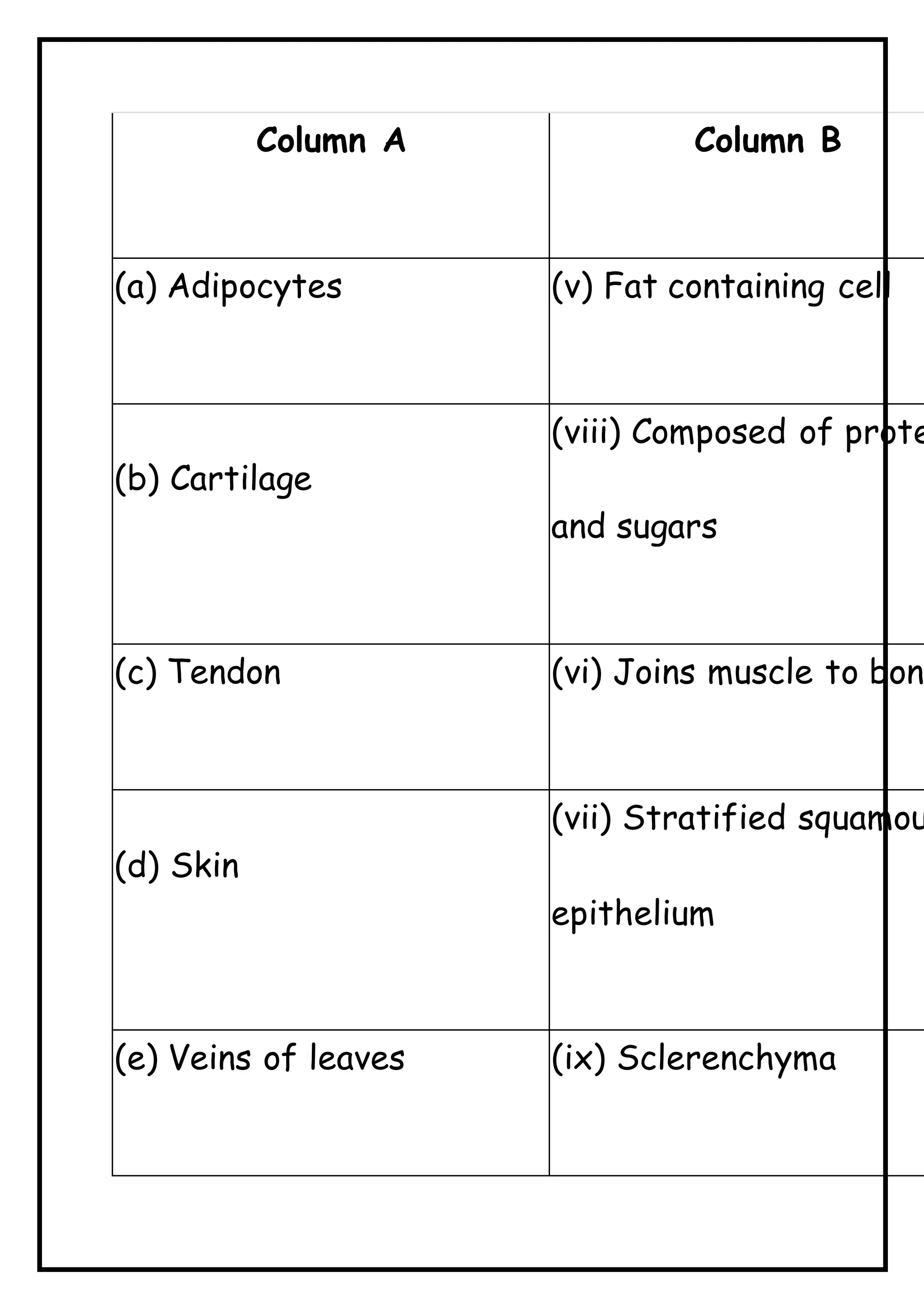Mcq's of class 9 chapter Tissues | DOCX