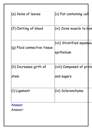 Mcq's of class 9 chapter Tissues | DOCX