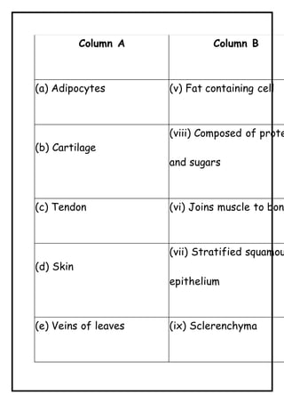Mcq's of class 9 chapter Tissues | DOCX