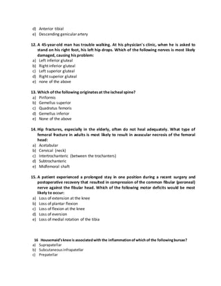lower limb anatomy MCQs | PDF