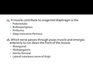 MCQ's Anatomy Paper- I.pptx