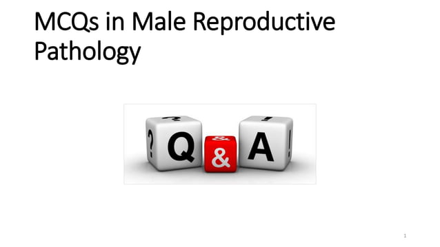 MCQs in male reproductive pathology ss1 | PPTX | Reproductive Health ...