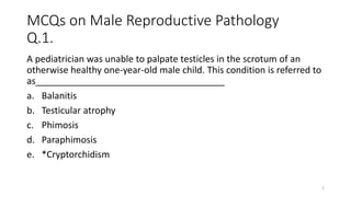 MCQs in male reproductive pathology ss1 | PPTX