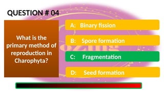 MCQs on Charophyta.pptxhghgdddddfgrrrrrety | PPT