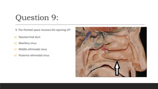 MCQ TEST HEAD & NECK.pptx first year anatomy AIIMS bilaspur | PPTX