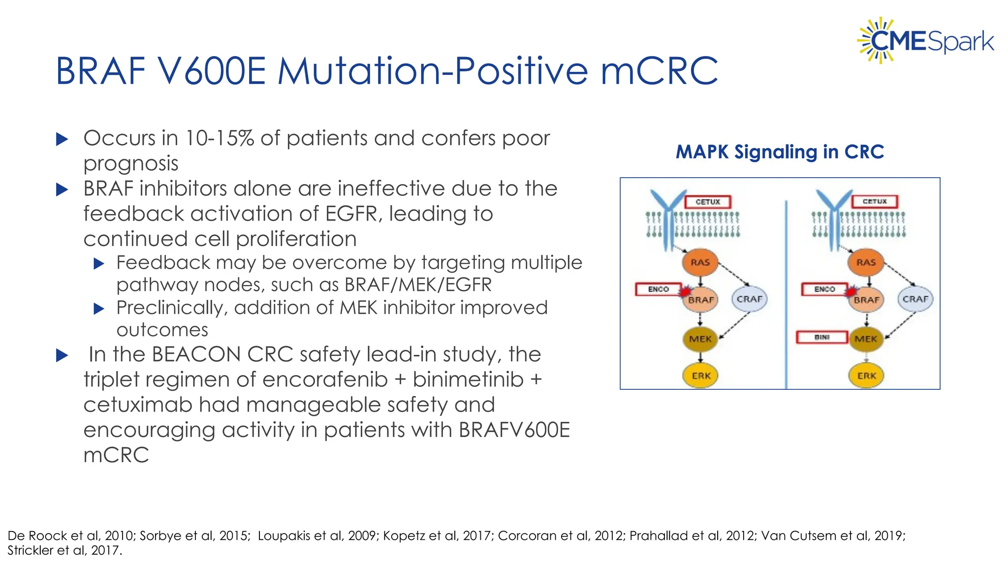 Metastatic Colorectal Cancer (mCRC) Slides | PDF