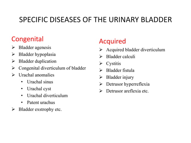 RGU MCU and its interpretation in pathology of Urinary Bladder ...