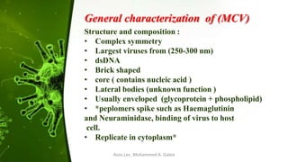 Molecular Detection of Molluscum contagiosum virus (MCV) from Patients ...