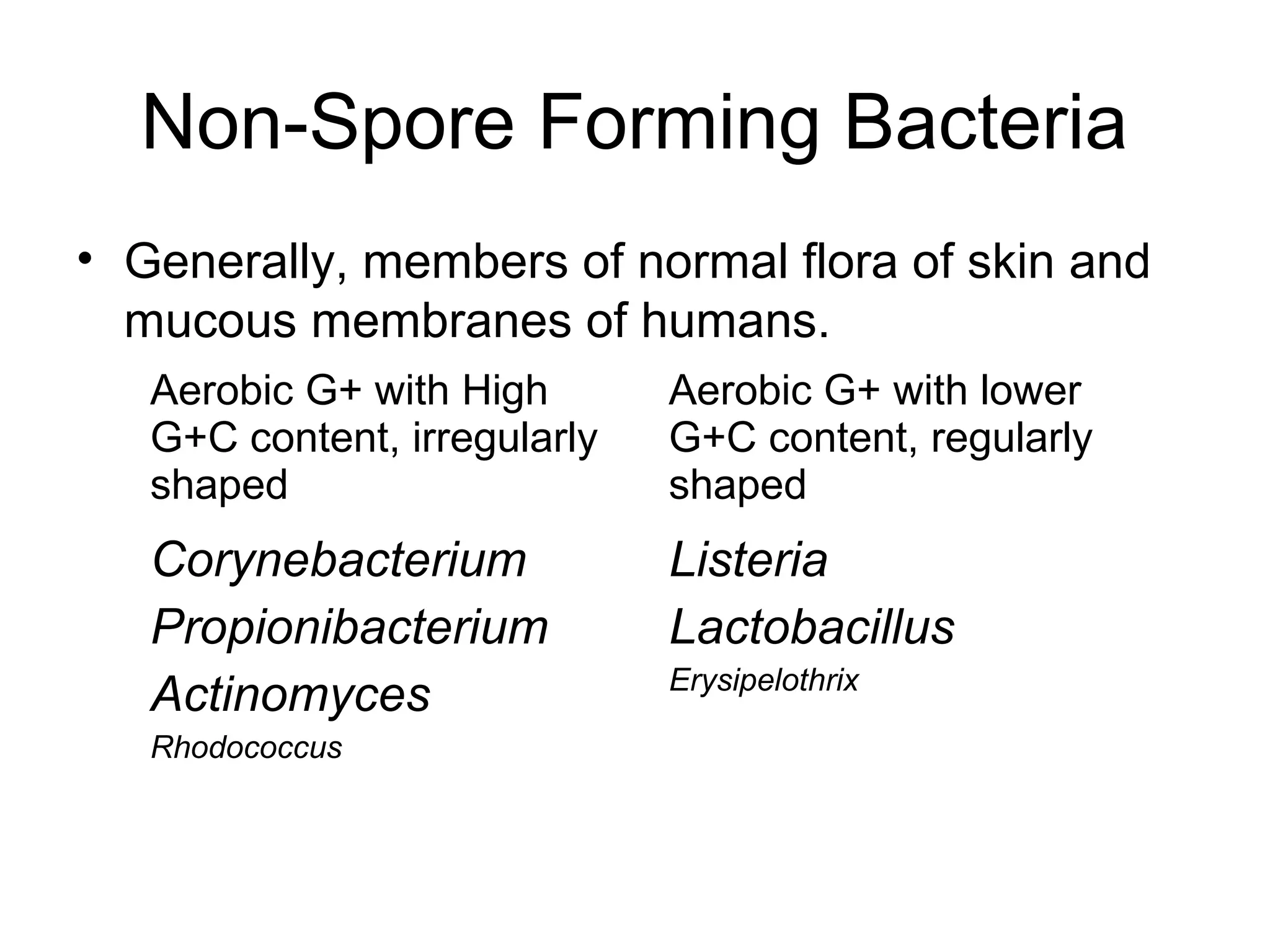 Spore forming bacteria | PPT
