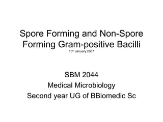 Spore forming bacteria | PPT