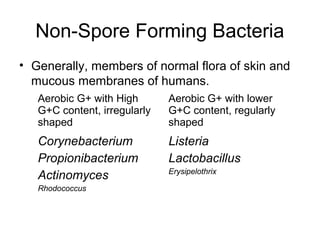 Spore forming bacteria | PPT