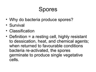 Spore forming bacteria | PPT