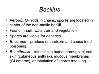 Spore forming bacteria | PPT