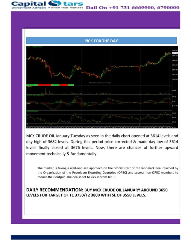 Mcx daily report | PDF