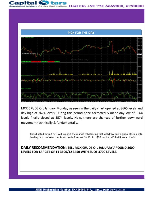 Mcx daily report | PDF