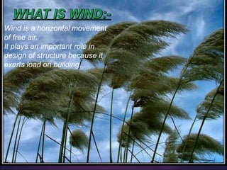 Wind Analysis of Structure | PPTX | Weather | Science