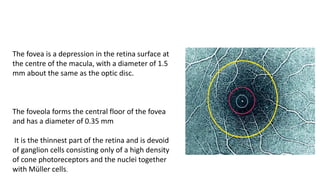 MACULAR DYSTROPHY | PPTX