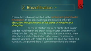 Phytoremediation ppt by Chand.pptx