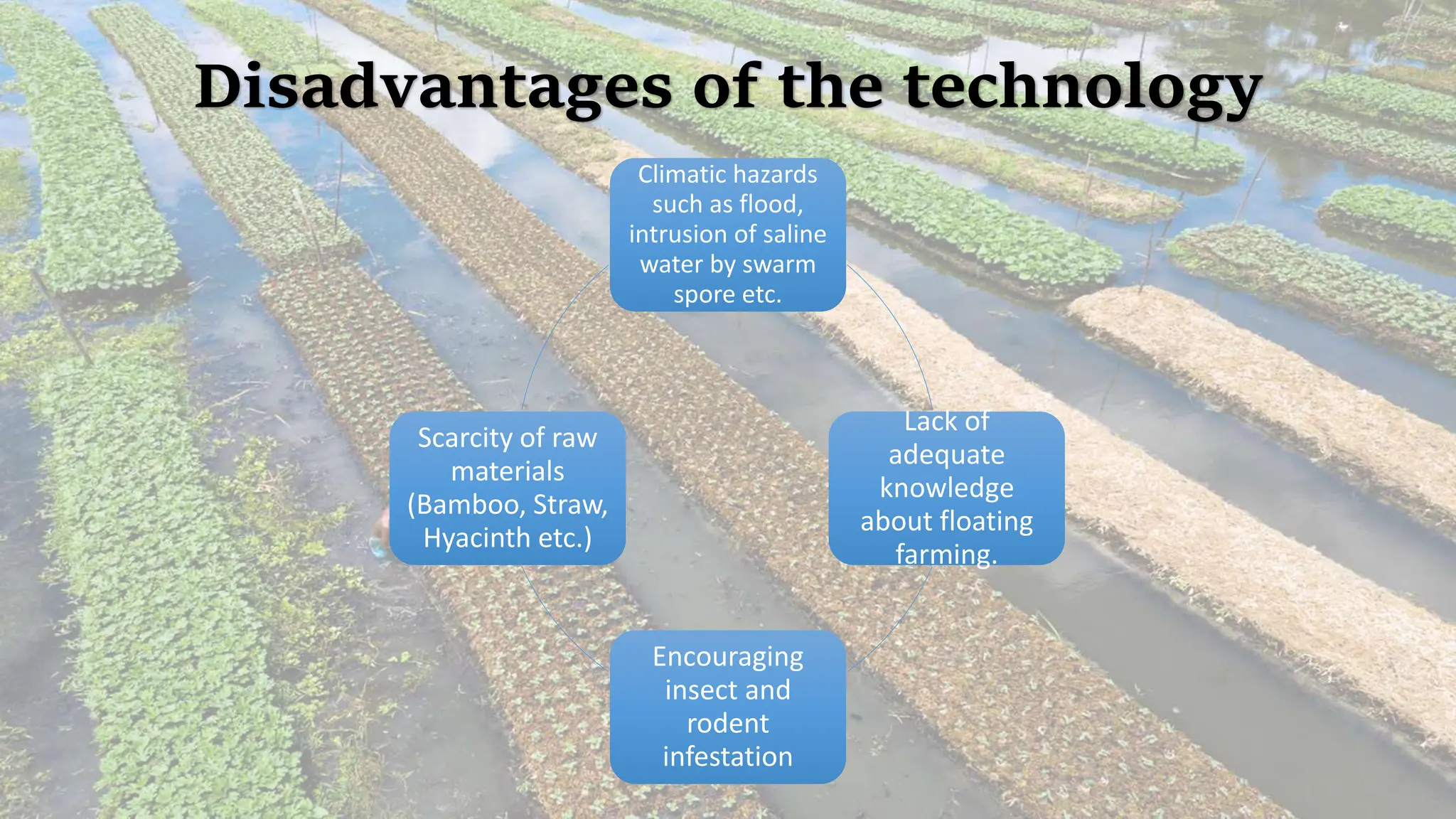 Floating Agriculture: Application and Prospect In Bangladesh.pptx
