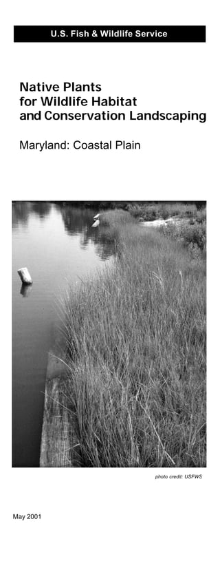 Native Plants for Wildlife Habitat and Conservation Landscaping ...