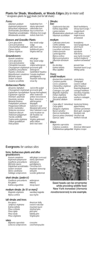 Native Plants for Wildlife Habitat and Conservation Landscaping ...