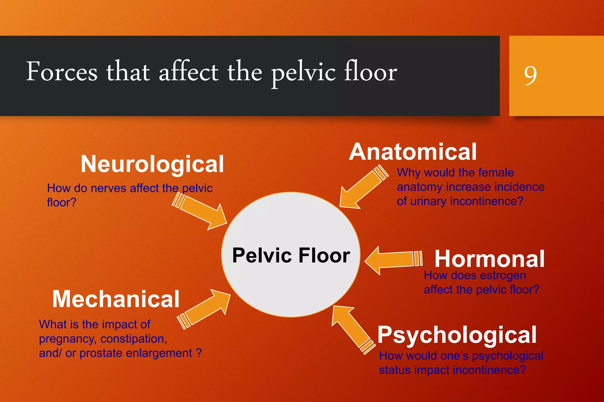 Stress Urinary Incontinence | PPTX