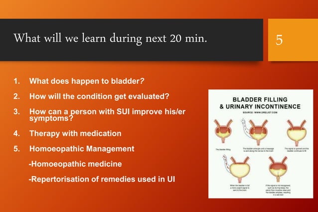 Stress Urinary Incontinence | PPTX | Sexual Conditions | Sexual Health