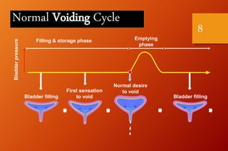 Stress Urinary Incontinence | PPTX