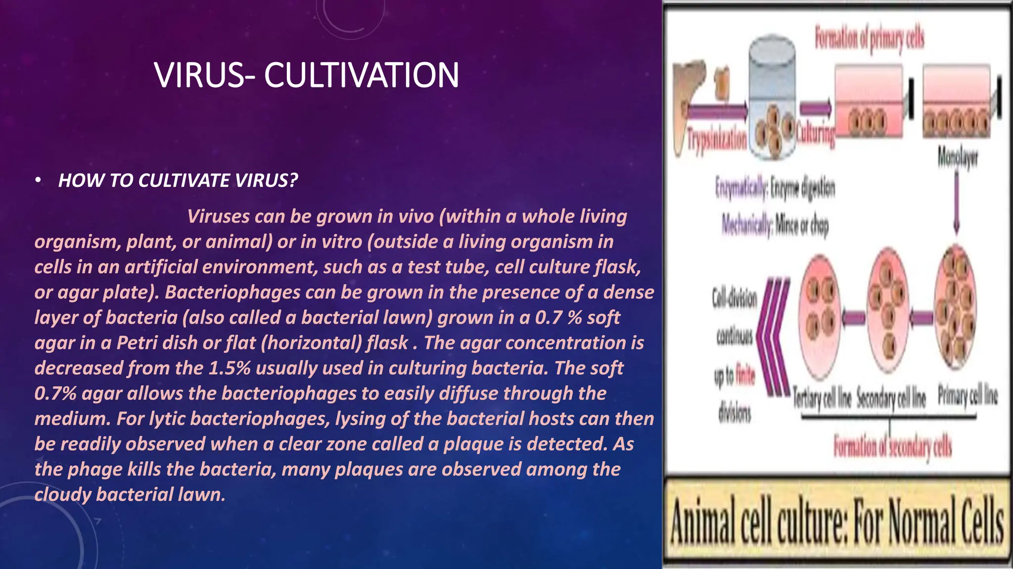 VIRUS CULTIVATION, CLASSIFICATION AND REPRODUCTION | PPTX