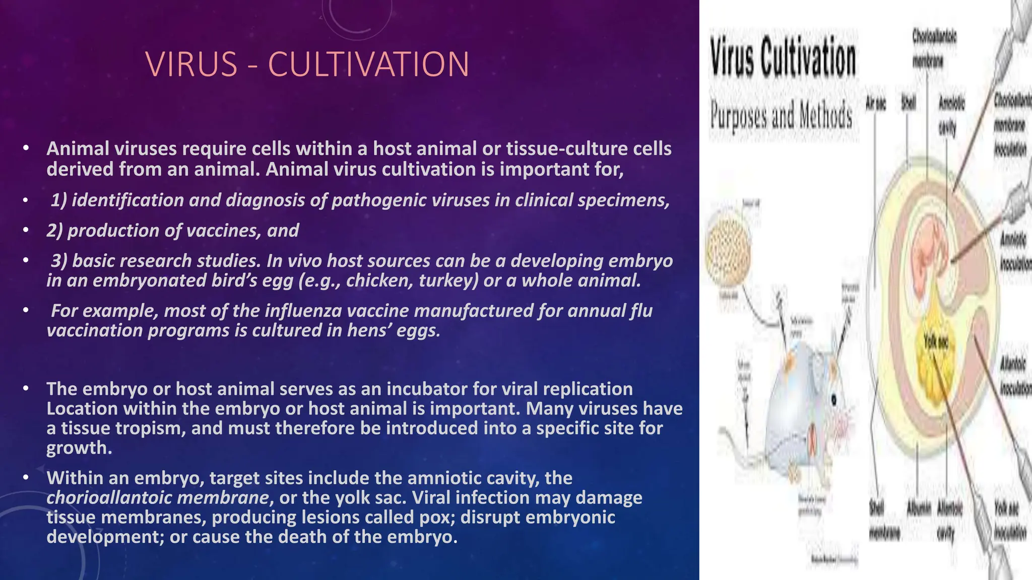 VIRUS CULTIVATION, CLASSIFICATION AND REPRODUCTION | PPTX