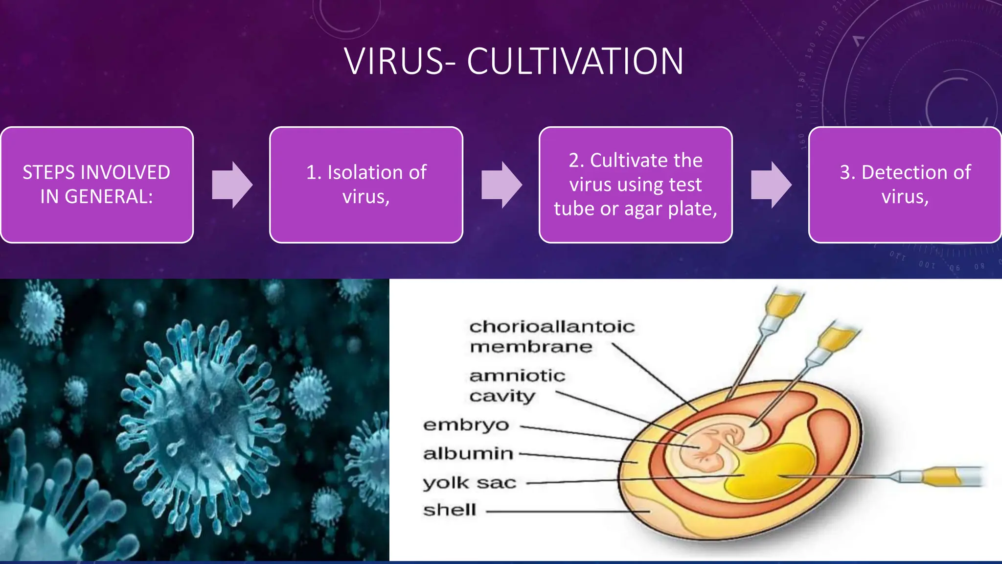 VIRUS CULTIVATION, CLASSIFICATION AND REPRODUCTION | PPT