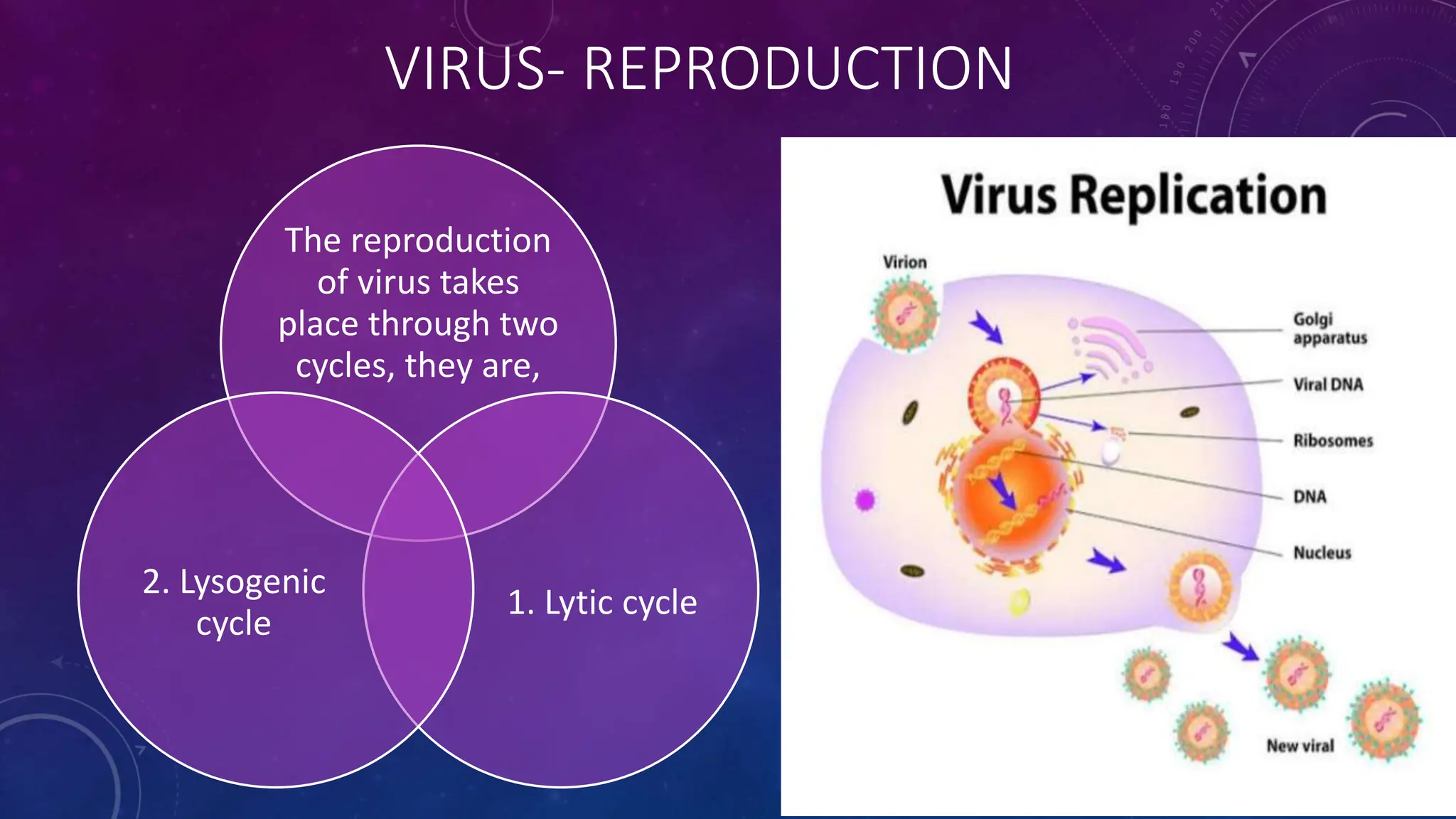 VIRUS CULTIVATION, CLASSIFICATION AND REPRODUCTION | PPT