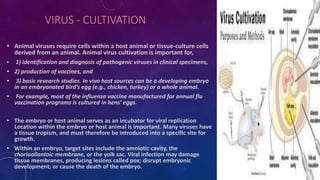 VIRUS CULTIVATION, CLASSIFICATION AND REPRODUCTION | PPTX