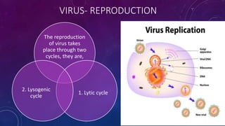 VIRUS CULTIVATION, CLASSIFICATION AND REPRODUCTION | PPT