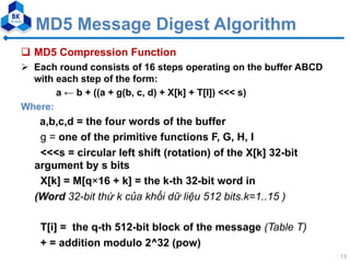 Hash functions MD5 and RIPEMD 160 | PDF