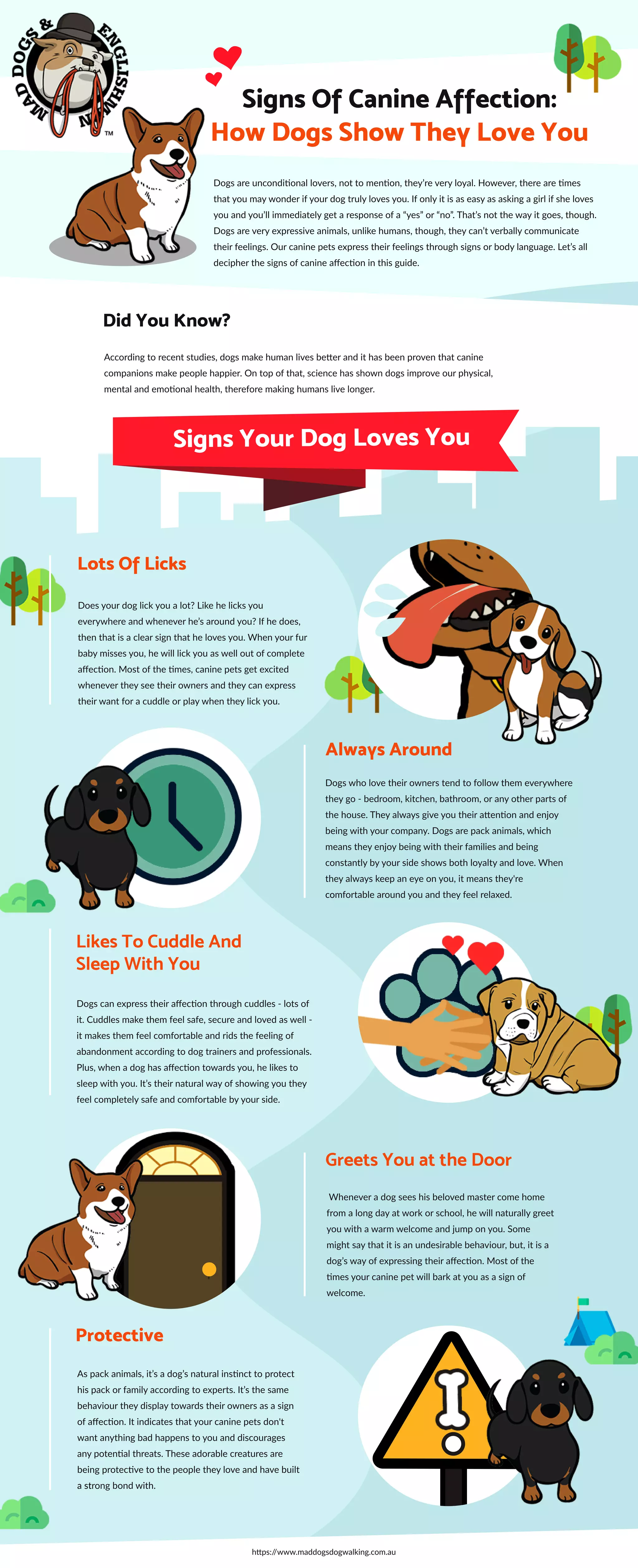 Signs of Canine Affection: How Dogs Show They Love You | PDF