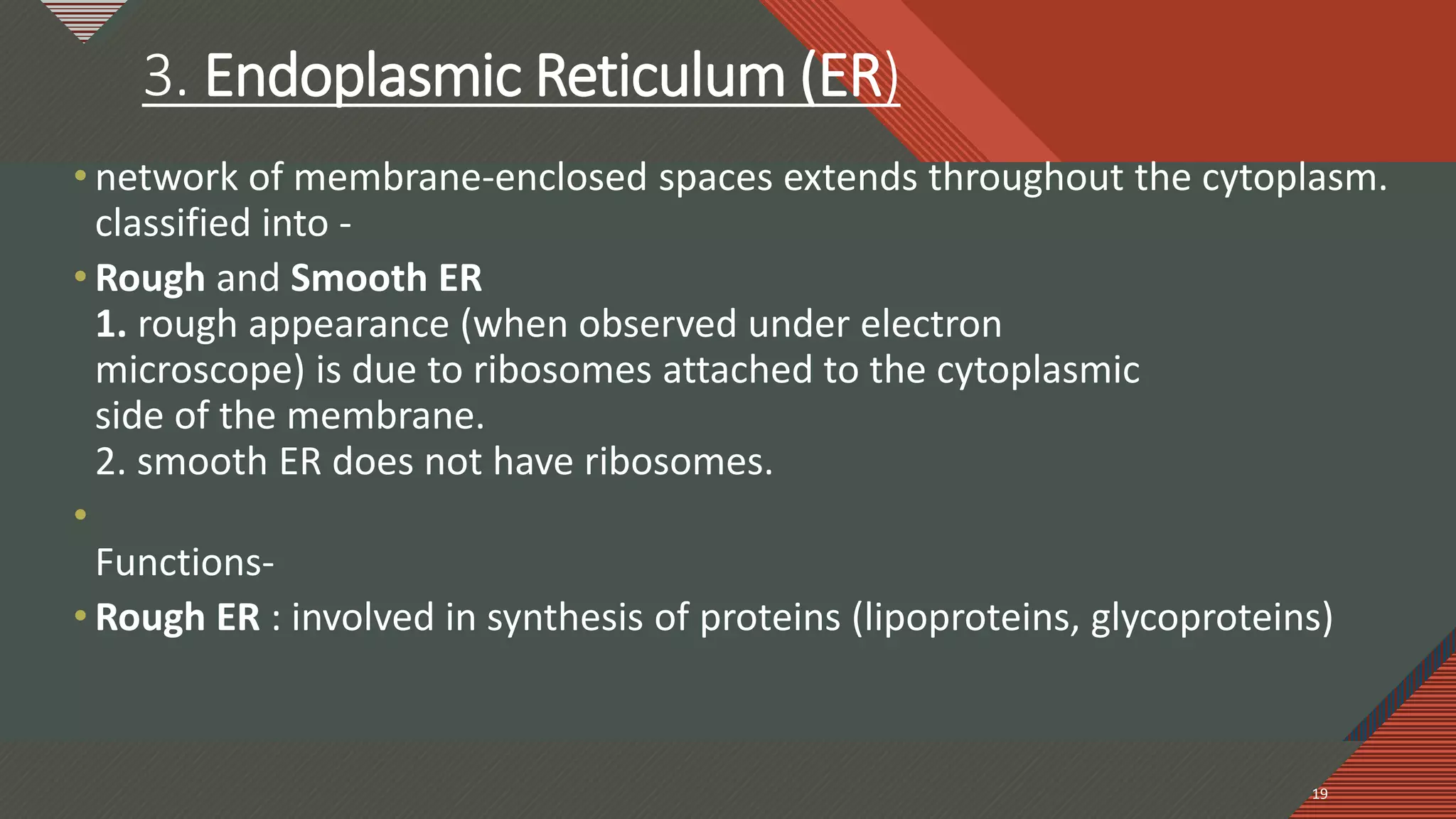 Cellular Classification, Sub-cellular organelles | PPTX
