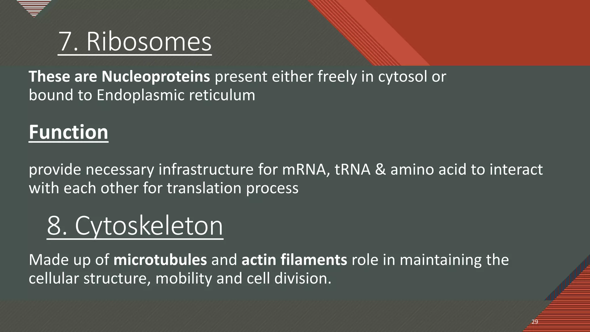 Cellular Classification, Sub-cellular organelles | PPTX