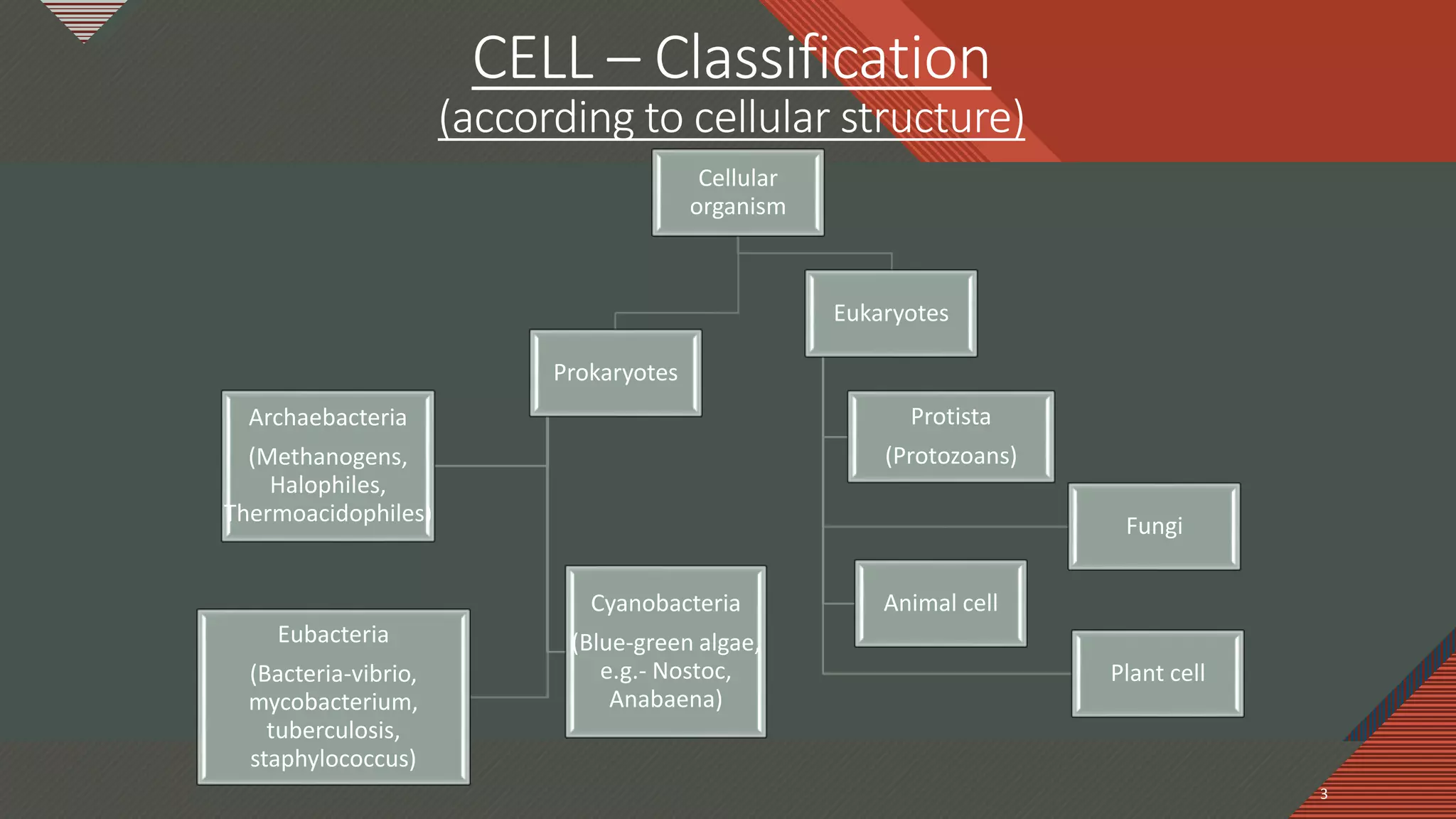 Cellular Classification, Sub-cellular organelles | PPTX