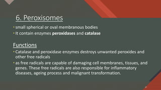 Cellular Classification, Sub-cellular organelles | PPTX