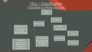 Cellular Classification, Sub-cellular organelles | PPTX