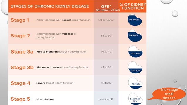 Renal Function Tests (RFT) | PPTX